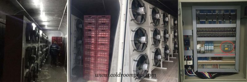 Blast Freezer - Professional Cold Room, Freezer Room Manufacturer