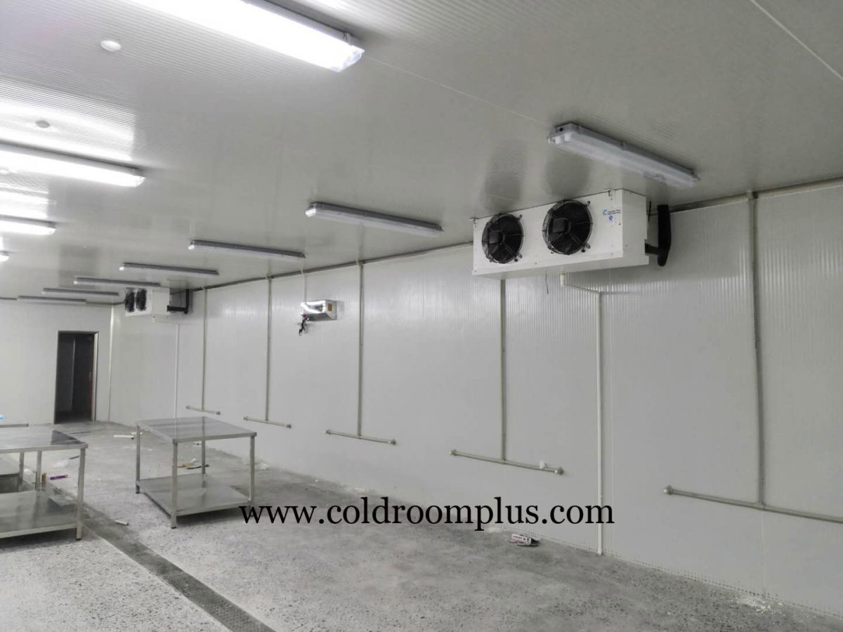 Walk-in Freezer, Walk Freezer with Condensing Unit