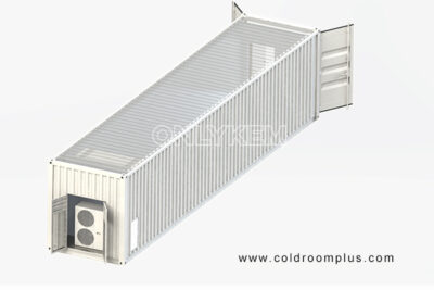 Container Cold Room - Cold Room, Freezer Room, Condensing Unit, Unit Cooler, Cold Room Door, PU ...